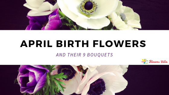 April Birth Flowers and Their 9 Bouquets - Send Flowers to Meerut ...