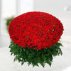 1000 Red Roses Bouquet | Send 1000 Red Roses Online | Online Flower ...