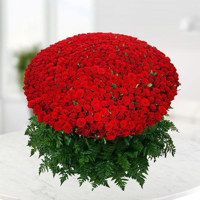 1000 Red Roses Bouquet | Send 1000 Red Roses Online | Online Flower ...