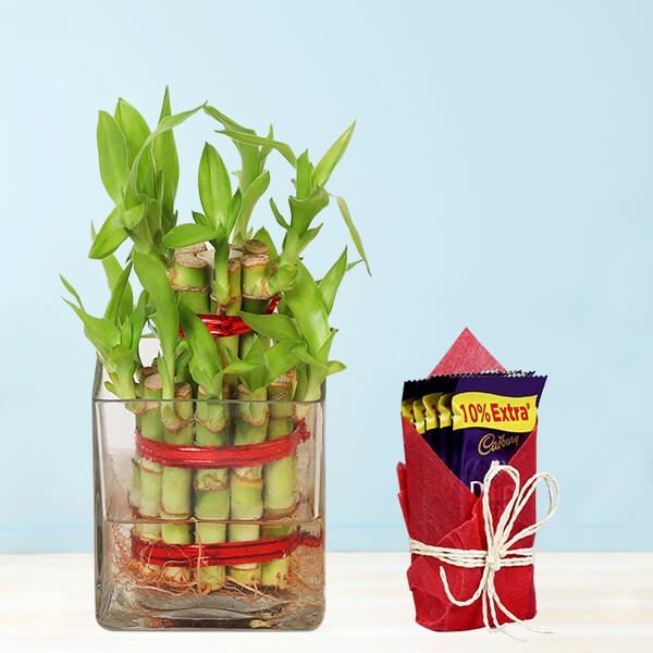 Cute Green Surprise– Bloomsvilla