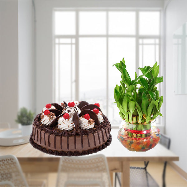 Extra Delight Surprise– Bloomsvilla