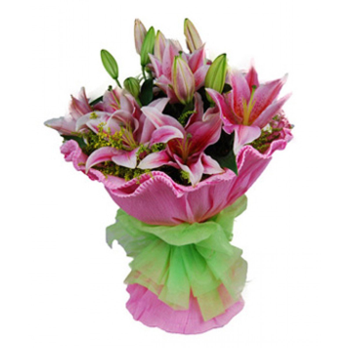 Pink Fair– Bloomsvilla