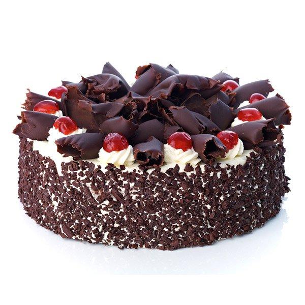 Premium Sweet Forest– Bloomsvilla